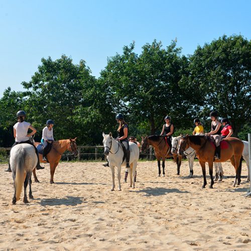 Poney walk for young children - Centre équestre à Baden Morbihan